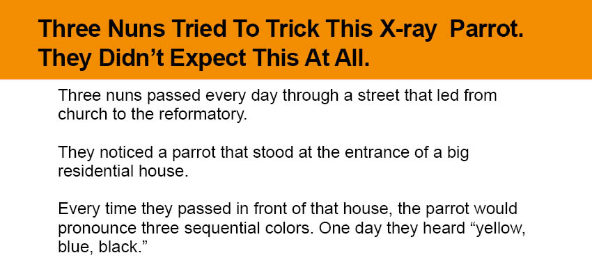 Three Nuns Tried To Trick This X-ray Parrot.