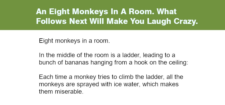 Eight Monkeys In A Room.