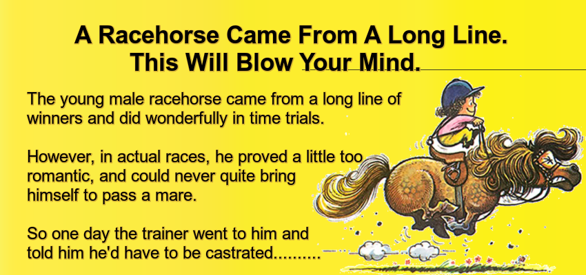 A Racehorse Came From A Long Line.