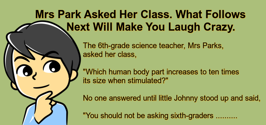 Mrs Park Asked Her Class.