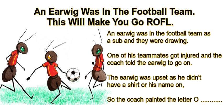 An Earwig Was In The Football Team.