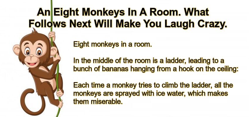 An Eight Monkeys In A Room.