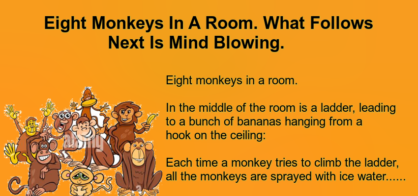 Eight Monkeys In A Room.
