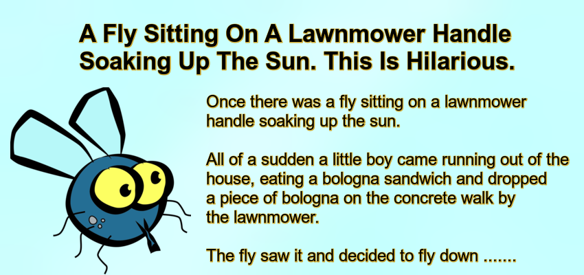 A Fly Sitting On A Lawnmower Handle Soaking Up The Sun.