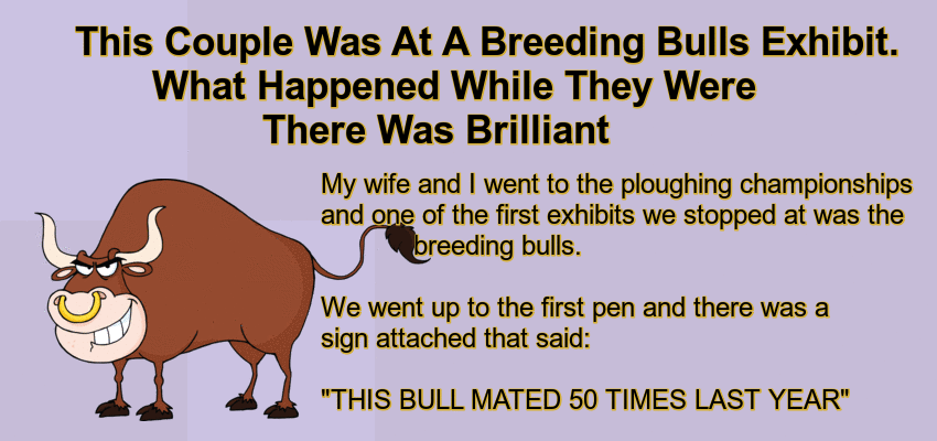 This Couple Was At A Breeding Bulls Exhibit.