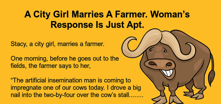 A City Girl Marries A Farmer