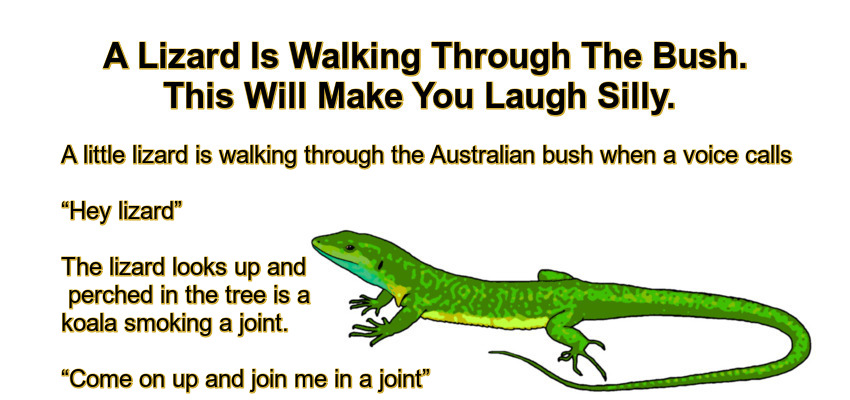 A Lizard Is Walking Through The Bush.