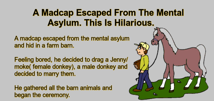 A Madcap Escaped From The Mental Asylum.