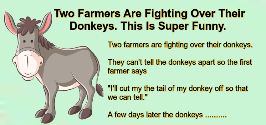 Two Farmers Are Fighting Over Their Donkeys.