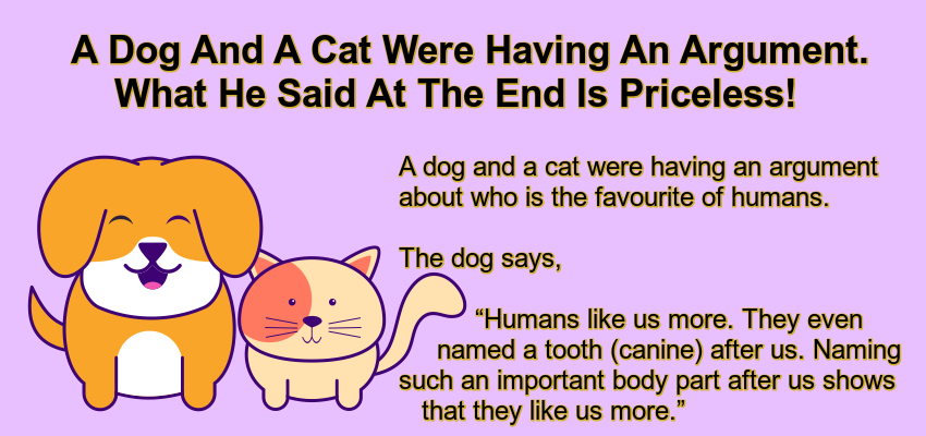 A Dog And A Cat Were Having An Argument.