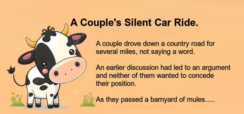 A Couple's Silent Car Ride.