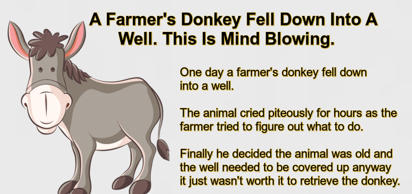 A Farmer's Donkey Fell Down Into A Well.