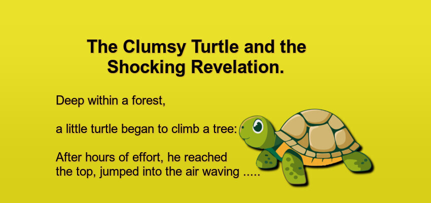 The Clumsy Turtle and the Shocking Revelation.