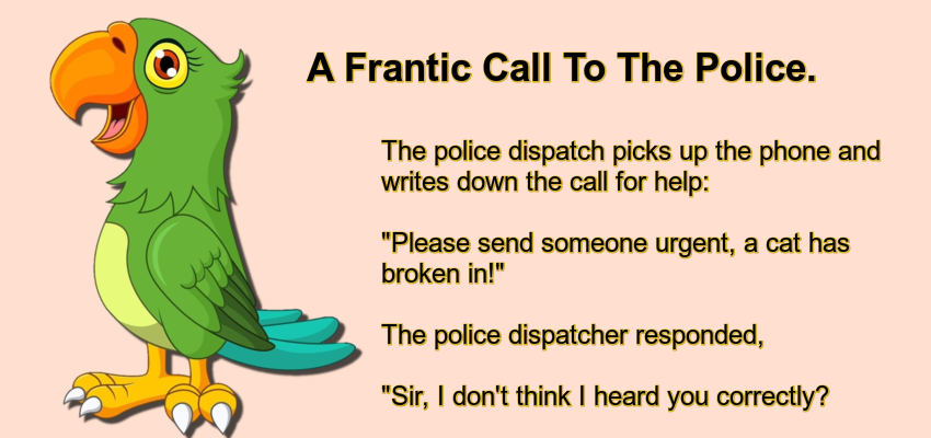 A Frantic Call To The Police.