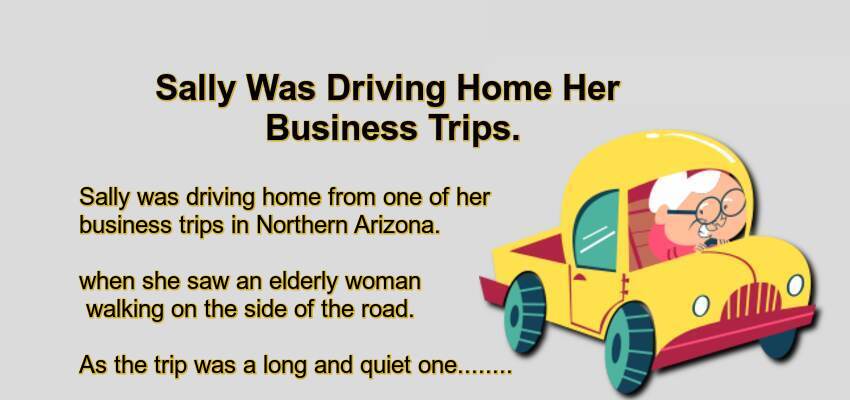 Sally Was Driving Home Her Business Trips.
