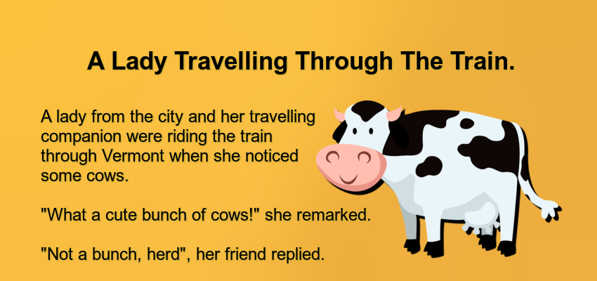 A Lady Travelling Through The Train.