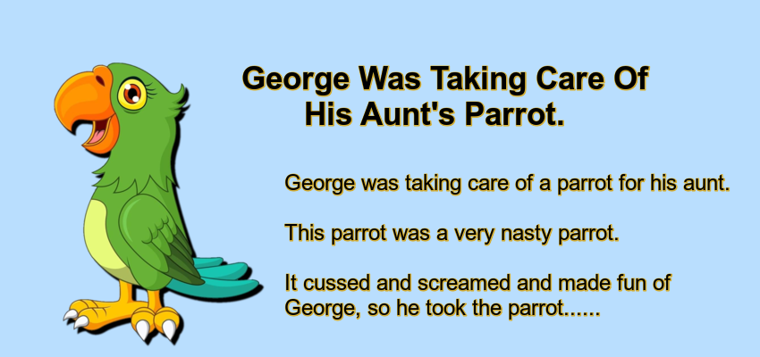 George Was Taking Care Of His Aunt's Parrot.