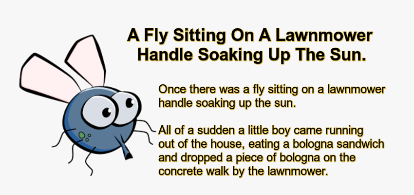 A Fly Sitting On A Lawnmower Handle Soaking Up The Sun.