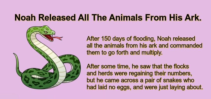 Noah Released All The Animals From His Ark.