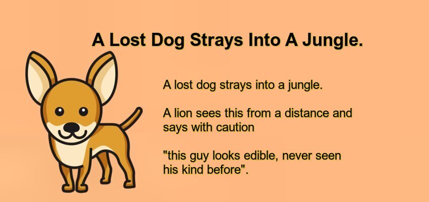 A Lost Dog Strays Into A Jungle.