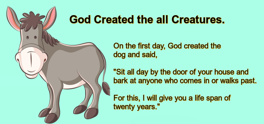 God Created the all Creatures.