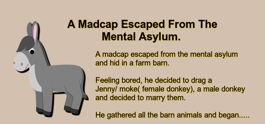 A Madcap Escaped From The Mental Asylum.