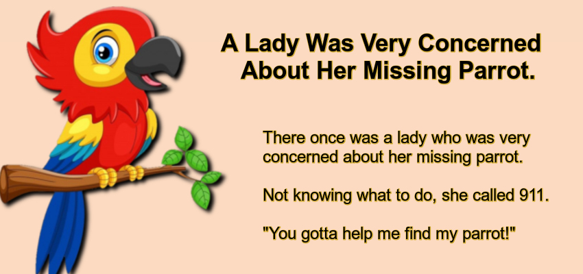 A Lady Was Very Concerned About Her Missing Parrot.