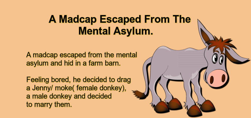 A Madcap Escaped From The Mental Asylum.