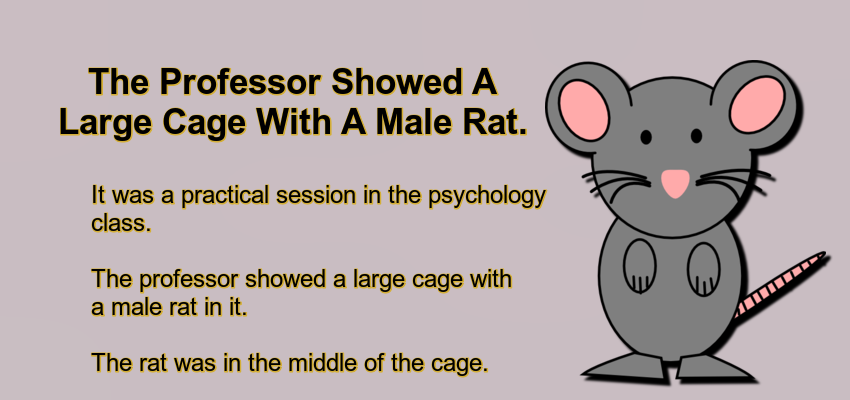 The Professor Showed A Large Cage With A Male Rat.