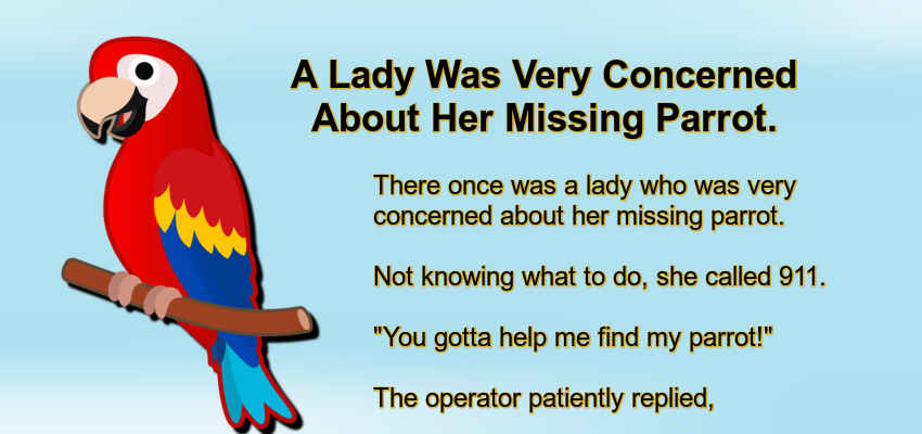 A Lady Was Very Concerned About Her Missing Parrot.