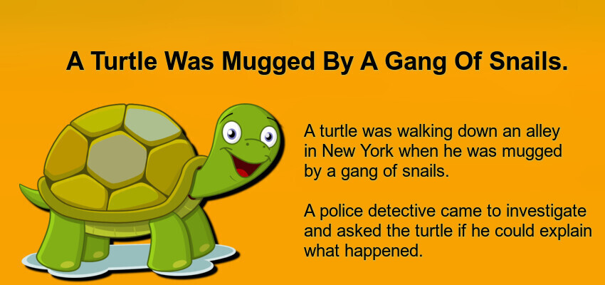 A Turtle Was Mugged By A Gang Of Snails.