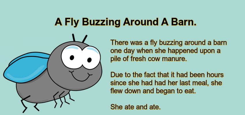 A Fly Buzzing Around A Barn.