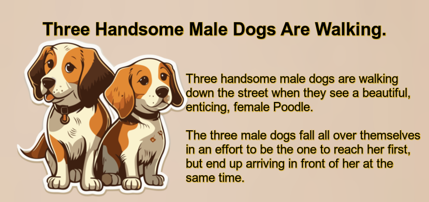 Three Handsome Male Dogs Are Walking.
