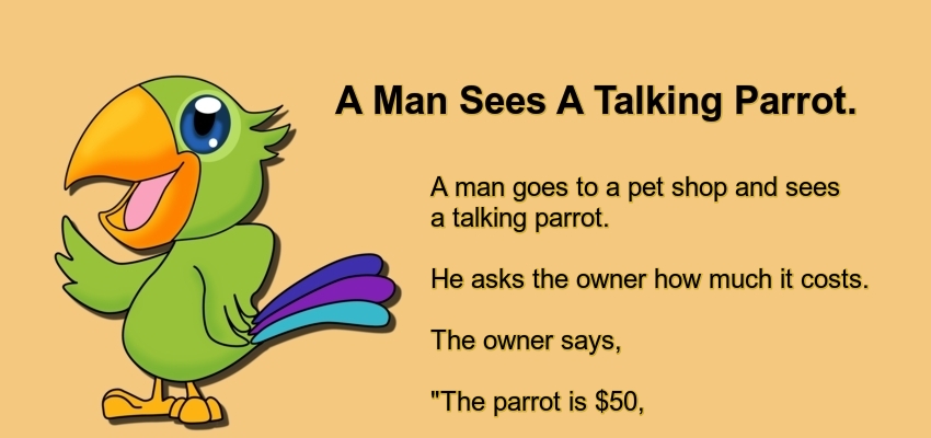 A Man Sees A Talking Parrot.