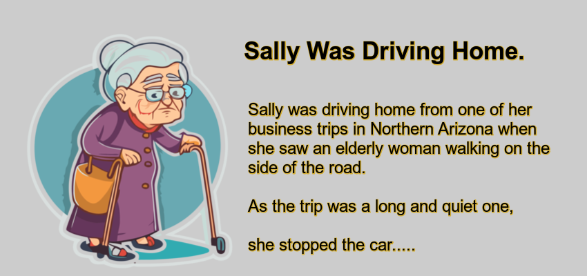 Sally Was Driving Home.