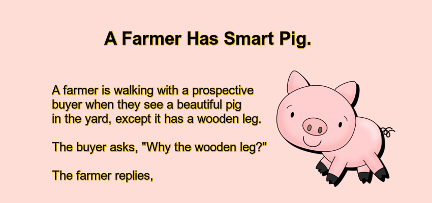A Farmer Has Smart Pig.