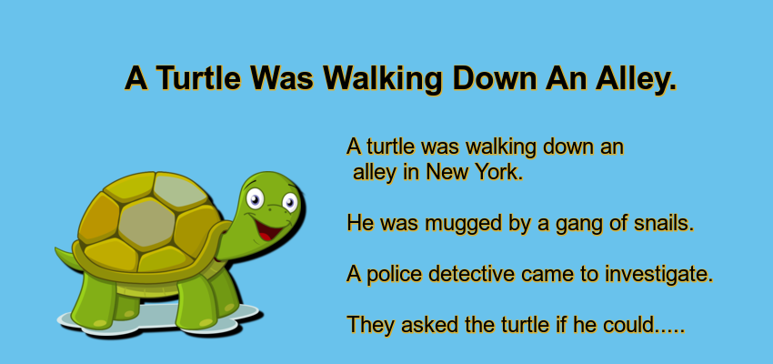 A Turtle Was Walking Down An Alley.