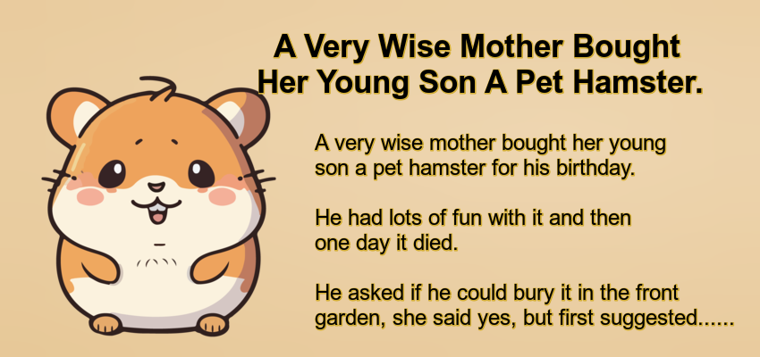 A Very Wise Mother Bought Her Young Son A Pet Hamster.