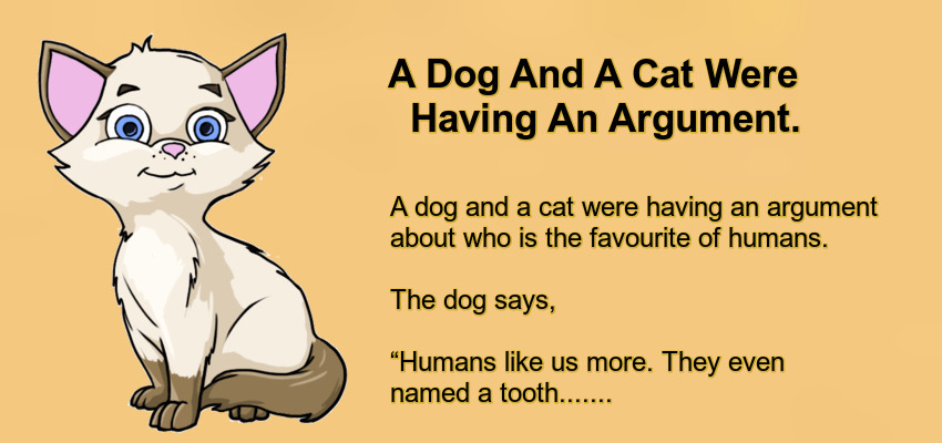 A Dog And A Cat Were Having An Argument.