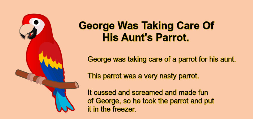 George Was Taking Care Of His Aunt's Parrot.