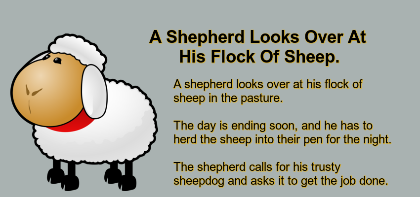 A Shepherd Looks Over At His Flock Of Sheep.
