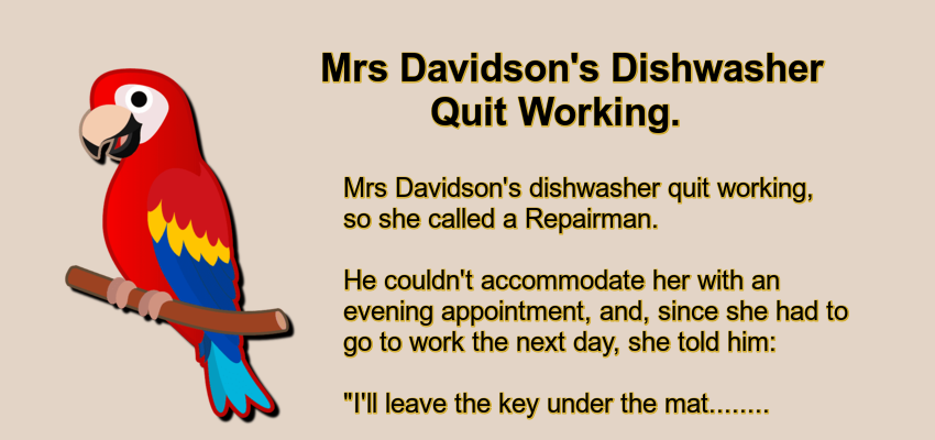 Mrs Davidson's Dishwasher Quit Working.