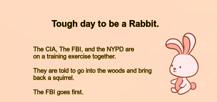 Tough day to be a Rabbit.