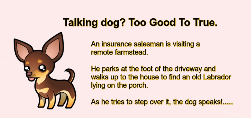 Talking dog? Too Good To True.