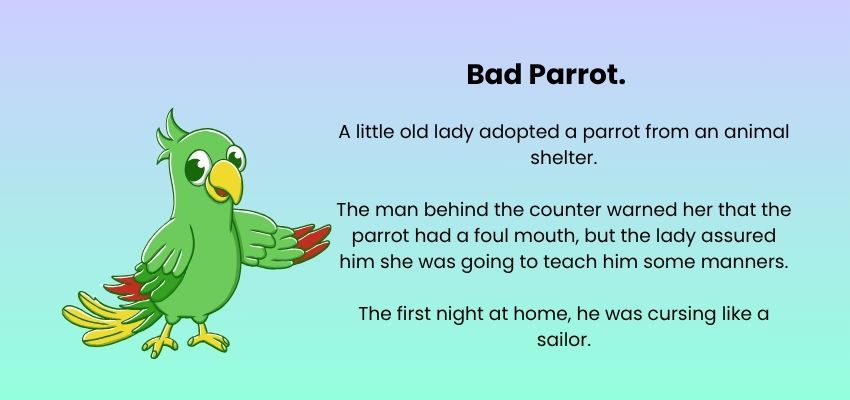 Bad Parrot.